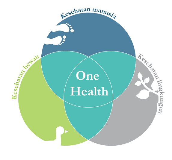 Para Pemimpin Negara ASEAN Deklarasikan One Health Initiative – Kabar SDGs