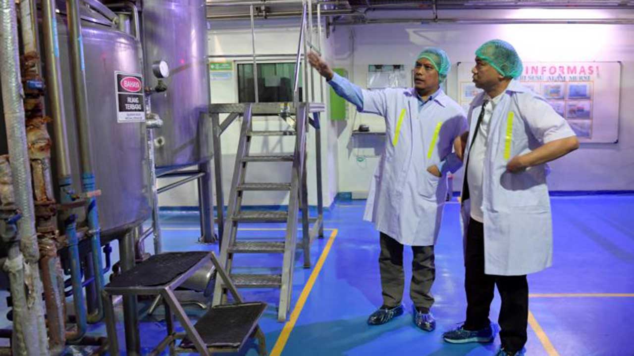 Program MBG Dinilai Mampu Jadi Peluang GKSI Tingkatkan Pemasaran Susu ...